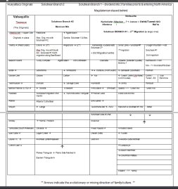 Solutrean Confederation of the Americas