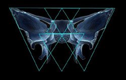 From Orbs to the Sphenoid